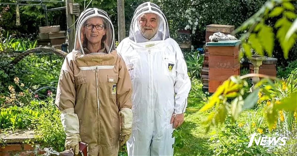 Королевским пчелам сообщили о смерти Елизаветы II - ФОТО | 1news.az | Новости