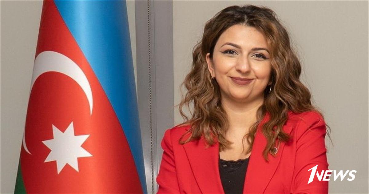 АДВОКАТ НА СВЯЗИ. Безопасно ли давать генеральную доверенность? | 1news.az | Новости