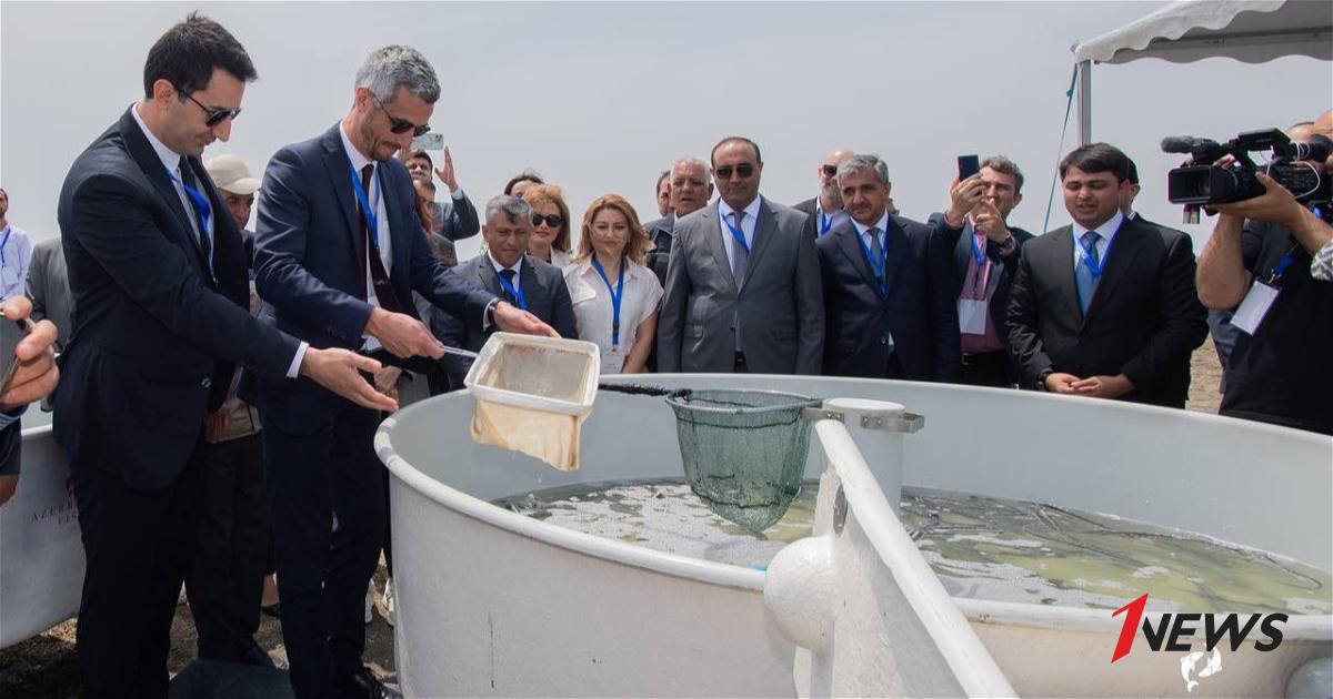 В Нефтчале состоялось мероприятие, посвященное Международному дню биоразнообразия и 100-летнему ...