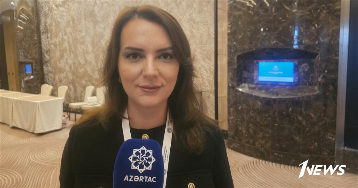 Анастасия Лаврина: Предвзятое отношение Франции к Азербайджану связано с потерей ее позиций в ...