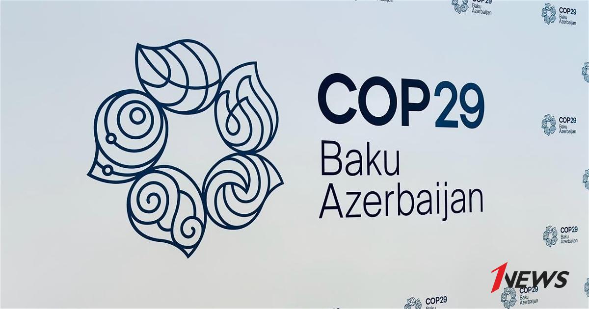 В Азербайджане активизирована система выдачи «Специальных виз COP29» | 1news.az | Новости
