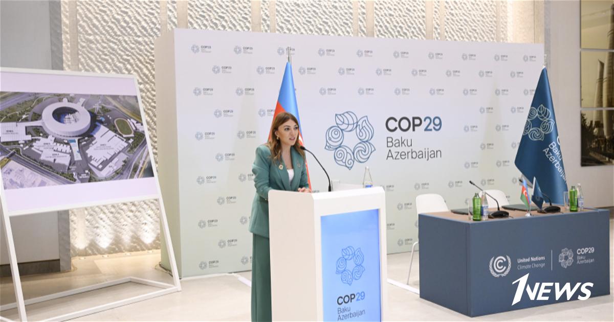 Аян Наджаф: Мы поставили перед собой цель полностью обеспечить энергетическое снабжение ...