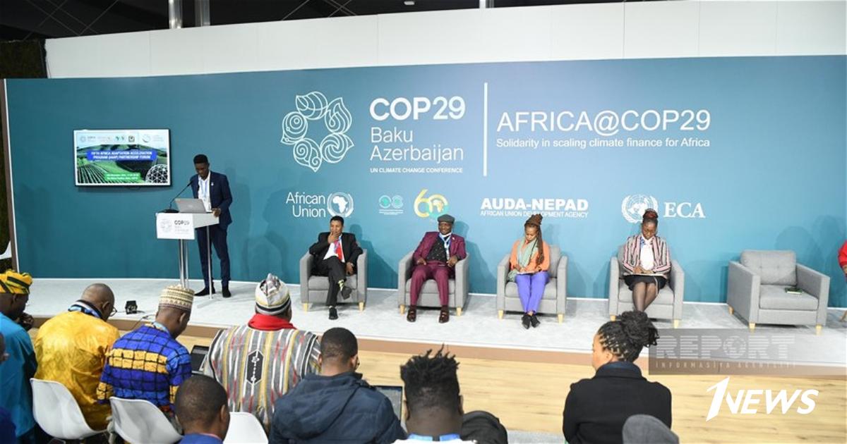 Участники COP29 из стран Африки призвали к справедливому распределению климатического ...