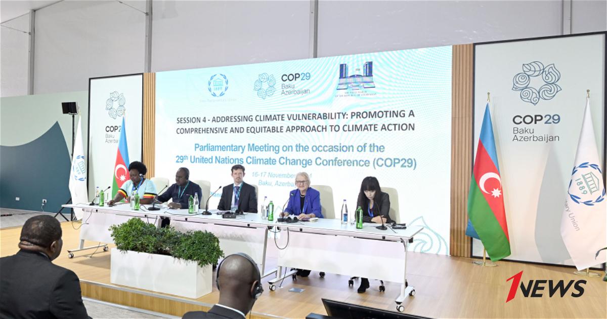 Завершилась Парламентская встреча, организованная в Баку в рамках COP29 - ФОТО - ОБНОВЛЕНО ...