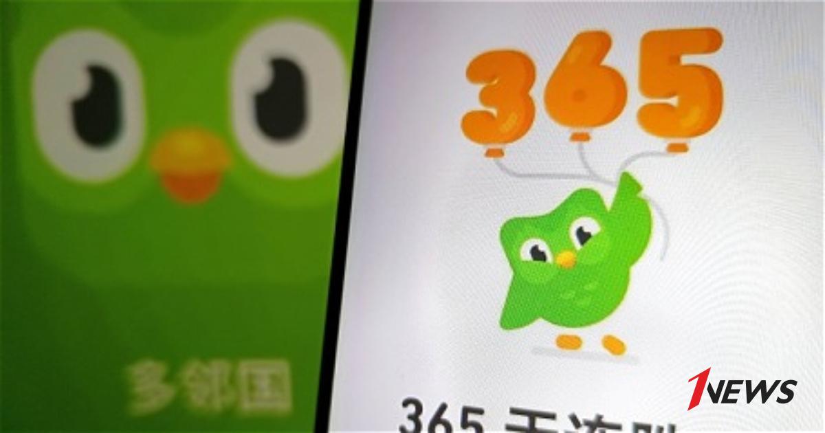 Сова Duolingo мертва: Интернет в шоке | 1news.az | Новости