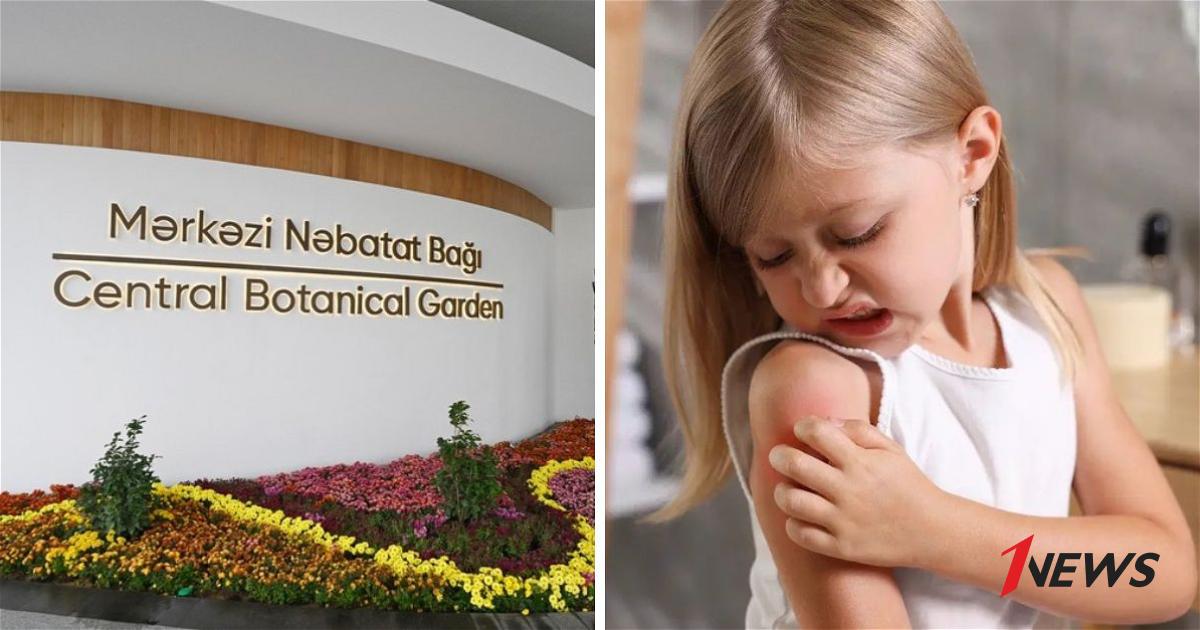 Жалоба в редакцию: пришли на пикник в Ботанический сад, вернулись с сыпью и укусами | 1news.az ...
